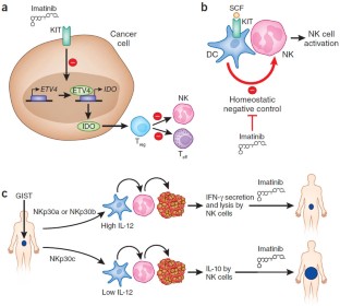 Anticancer effects of imatinib via immunostimulation | Nature Medicine