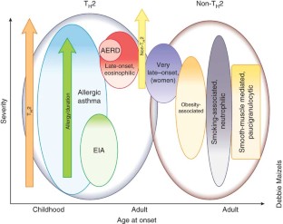 Asthma phenotypes: the evolution from clinical to molecular approaches ...