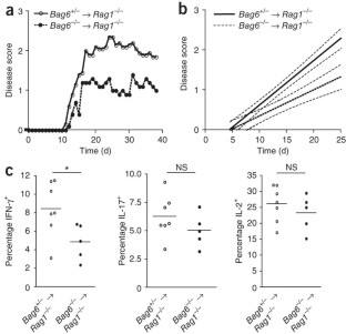 Bat3 promotes T cell responses and autoimmunity by repressing Tim-3 ...