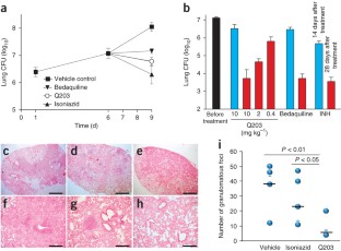 Discovery of Q203, a potent clinical candidate for the treatment of ...