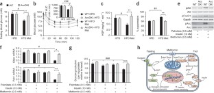 Single phosphorylation sites in Acc1 and Acc2 regulate lipid ...