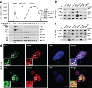 Targeting the MLL complex in castration-resistant prostate cancer ...