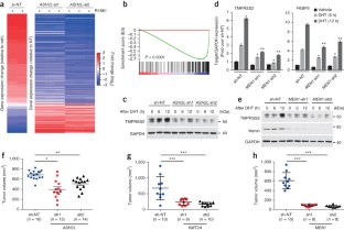 Targeting the MLL complex in castration-resistant prostate cancer ...