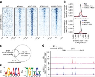 Targeting the MLL complex in castration-resistant prostate cancer ...