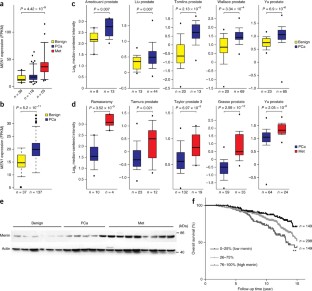 Targeting the MLL complex in castration-resistant prostate cancer ...