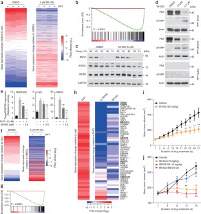 Targeting the MLL complex in castration-resistant prostate cancer ...