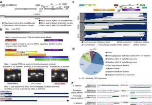 Defective proviruses rapidly accumulate during acute HIV-1 infection ...