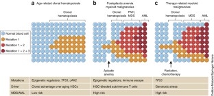 Clonal evolution in leukemia | Nature Medicine