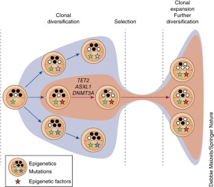 Clonal evolution in leukemia | Nature Medicine