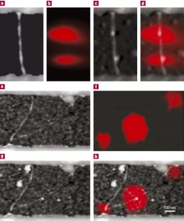Identifying and counting point defects in carbon nanotubes | Nature ...