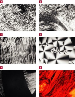 Metallotropic liquid crystals formed by surfactant templating of molten ...