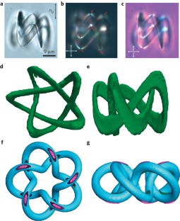 Mutually tangled colloidal knots and induced defect loops in nematic fields | Nature Materials
