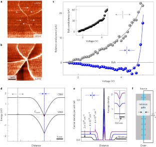 Functional electronic inversion layers at ferroelectric domain walls ...