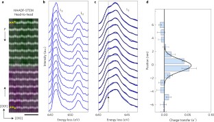 Functional electronic inversion layers at ferroelectric domain walls ...