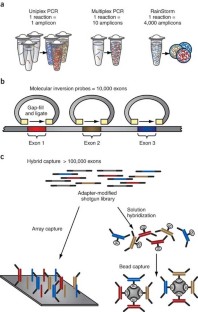 Target-enrichment strategies for next-generation sequencing | Nature ...