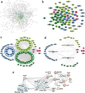 Visualization of omics data for systems biology | Nature Methods