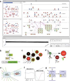 Visualization of omics data for systems biology | Nature Methods