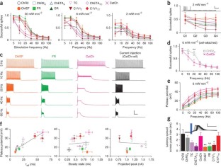 Principles for applying optogenetic tools derived from direct ...
