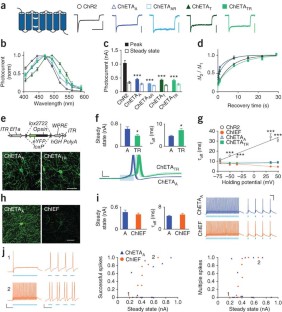 Principles for applying optogenetic tools derived from direct ...