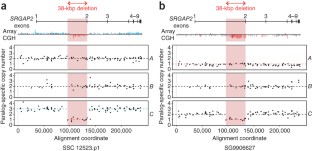 Rapid and accurate large-scale genotyping of duplicated genes and ...