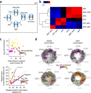 xTract: software for characterizing conformational changes of protein ...