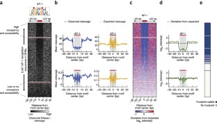 Genomic footprinting | Nature Methods