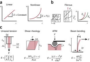 Measuring cell-generated forces: a guide to the available tools ...