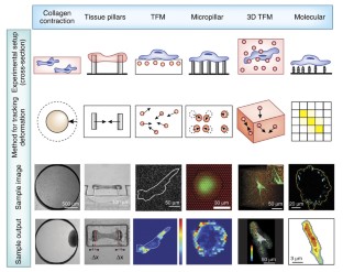 Measuring cell-generated forces: a guide to the available tools ...