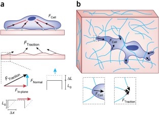 Measuring cell-generated forces: a guide to the available tools ...