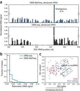 DMS-MaPseq for genome-wide or targeted RNA structure probing in vivo ...