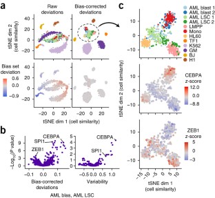 chromVAR: inferring transcription-factor-associated accessibility from ...
