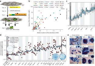 CRISPR-UMI: single-cell lineage tracing of pooled CRISPR–Cas9 screens ...