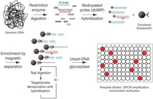 Quantification of random genomic mutations | Nature Methods