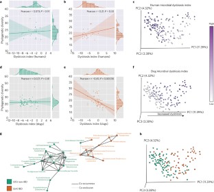 Dog and human inflammatory bowel disease rely on overlapping yet ...