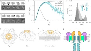 Structure of the mycobacterial ESX-5 type VII secretion system membrane ...