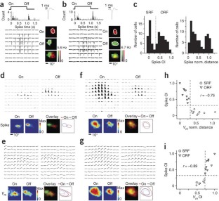 Intervening inhibition underlies simple-cell receptive field structure ...