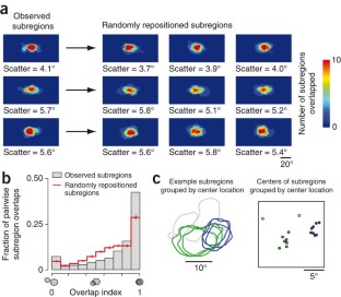 Parallel processing of visual space by neighboring neurons in mouse ...