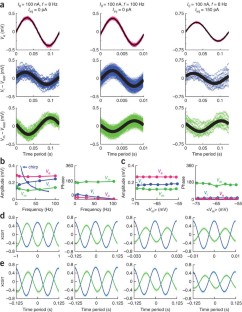 Ephaptic coupling of cortical neurons | Nature Neuroscience