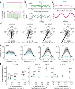 Ephaptic coupling of cortical neurons | Nature Neuroscience