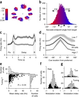 Bump attractor dynamics in prefrontal cortex explains behavioral precision in spatial working ...