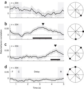 Bump attractor dynamics in prefrontal cortex explains behavioral precision in spatial working ...