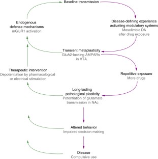 Pathological circuit function underlying addiction and anxiety ...