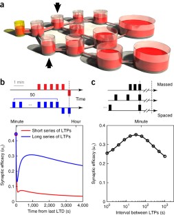 Computational principles of synaptic memory consolidation | Nature ...