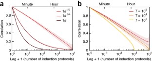 Computational principles of synaptic memory consolidation | Nature ...