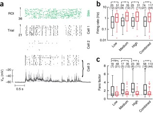 Synaptic scaling rule preserves excitatory–inhibitory balance and ...