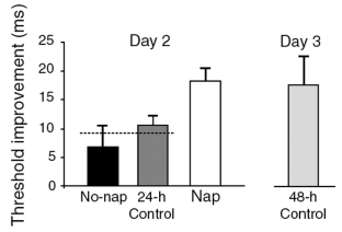 Sleep-dependent learning: a nap is as good as a night | Nature Neuroscience