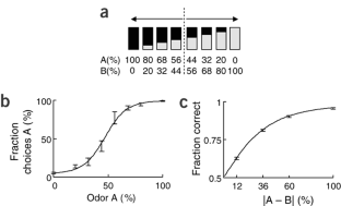 Speed and accuracy of olfactory discrimination in the rat | Nature ...