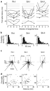 First spikes in ensembles of human tactile afferents code complex ...