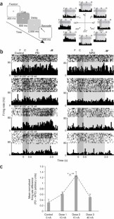 Inverted-U dopamine D1 receptor actions on prefrontal neurons engaged ...