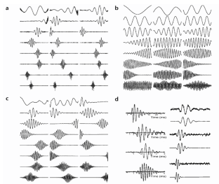 Efficient coding of natural sounds | Nature Neuroscience
